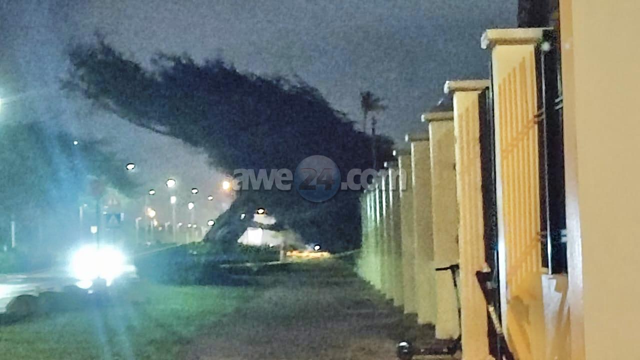 Cu e tera satura y e yobida a pone mata di kwihi grandi kita cay riba ...