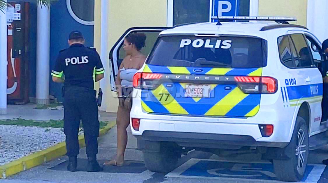 [VIDEO] Dama chauffeur burachi deteni despues di a bay dal riba un cura ...