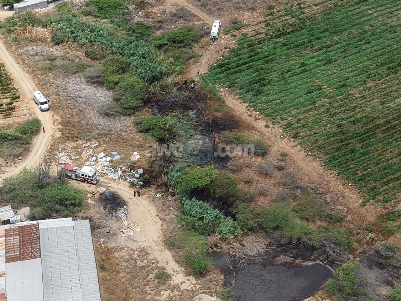[VIDEO] Candela grandi na e plantacion pabao di Kapel Alto Vista ...
