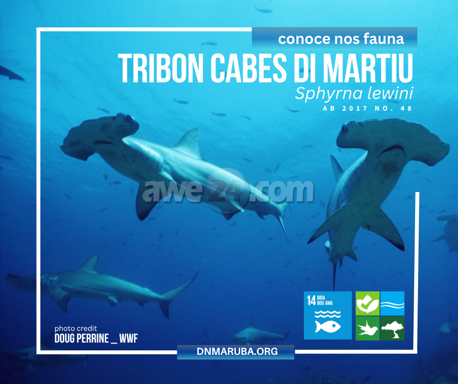 E poblacion di e tribonnan cabes di martiu a baha drasticamente den e ...
