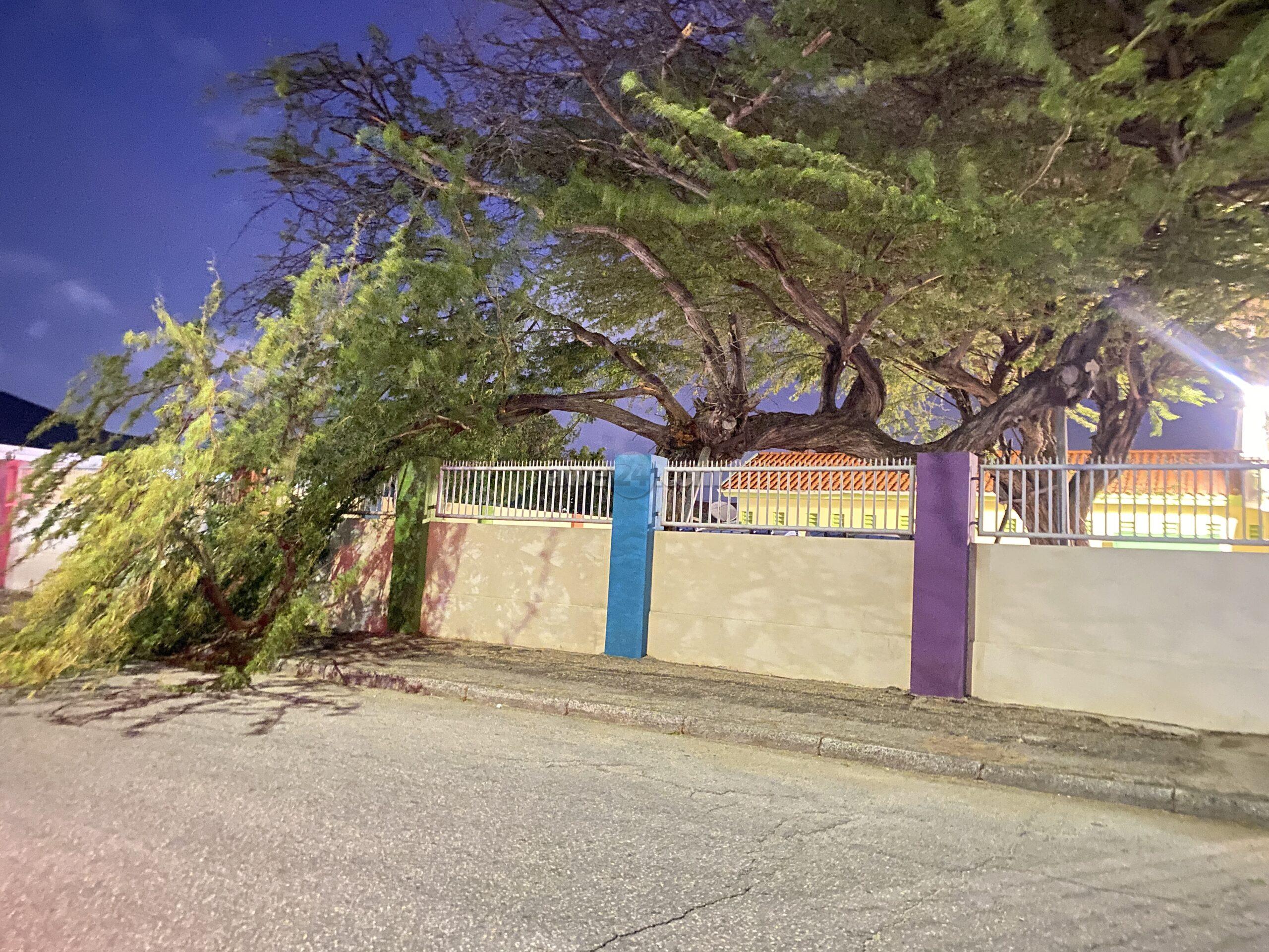 Mata di Kwihi a cay na Rosario College – AWE24.com Bo centro di ...